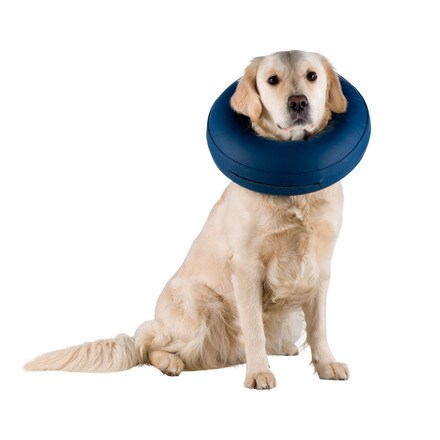 Collares isabelinos y protectores para perros • El Corte Inglés