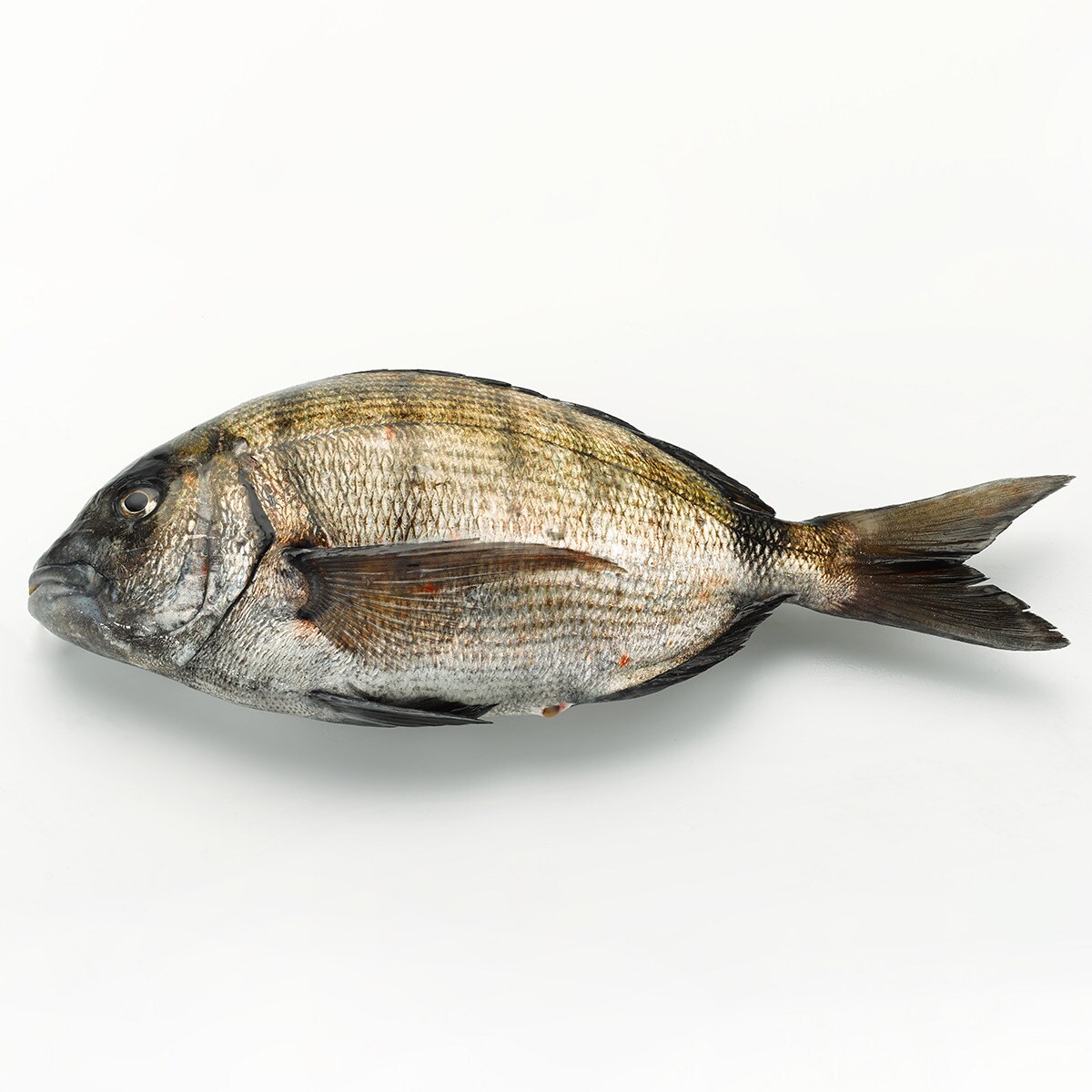 Sargo de playa peso aproximado pieza 1 kg · Supermercado El Corte ...