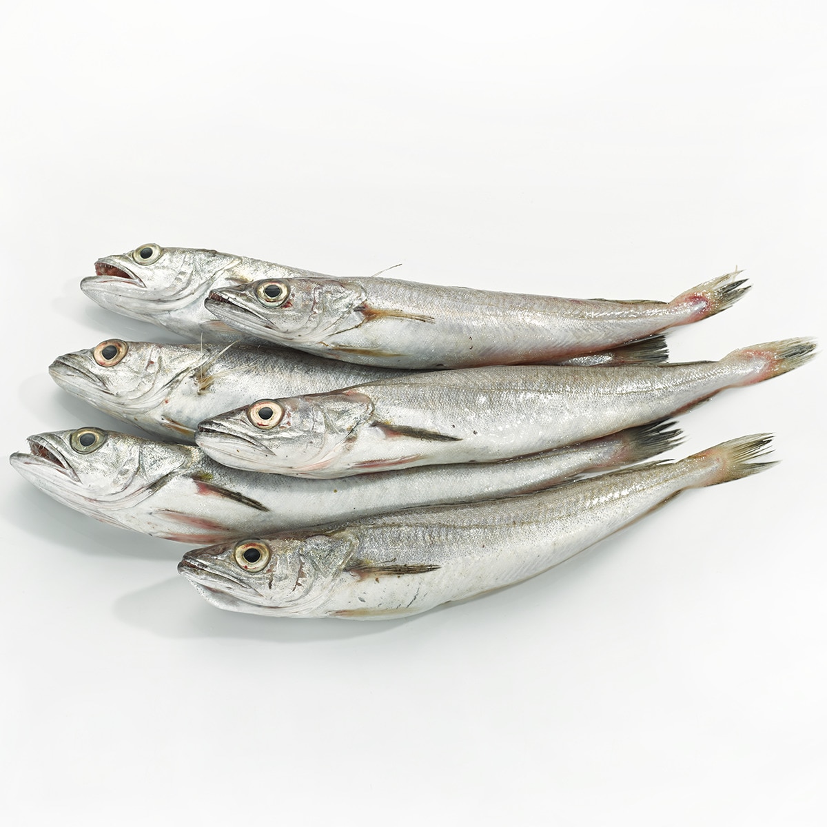 Pijotas de costa · Supermercado El Corte Inglés El Corte Inglés