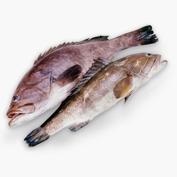 Cherne fresco peso aproximado pieza 1,5 kg · Supermercado El Corte ...