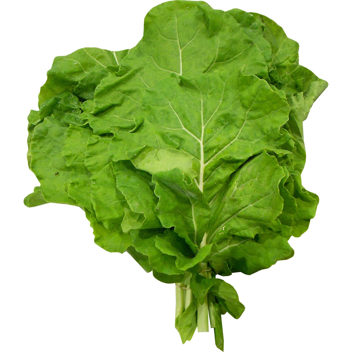 Berza asturiana manojo 750 g · Supermercado El Corte Inglés El Corte Inglés