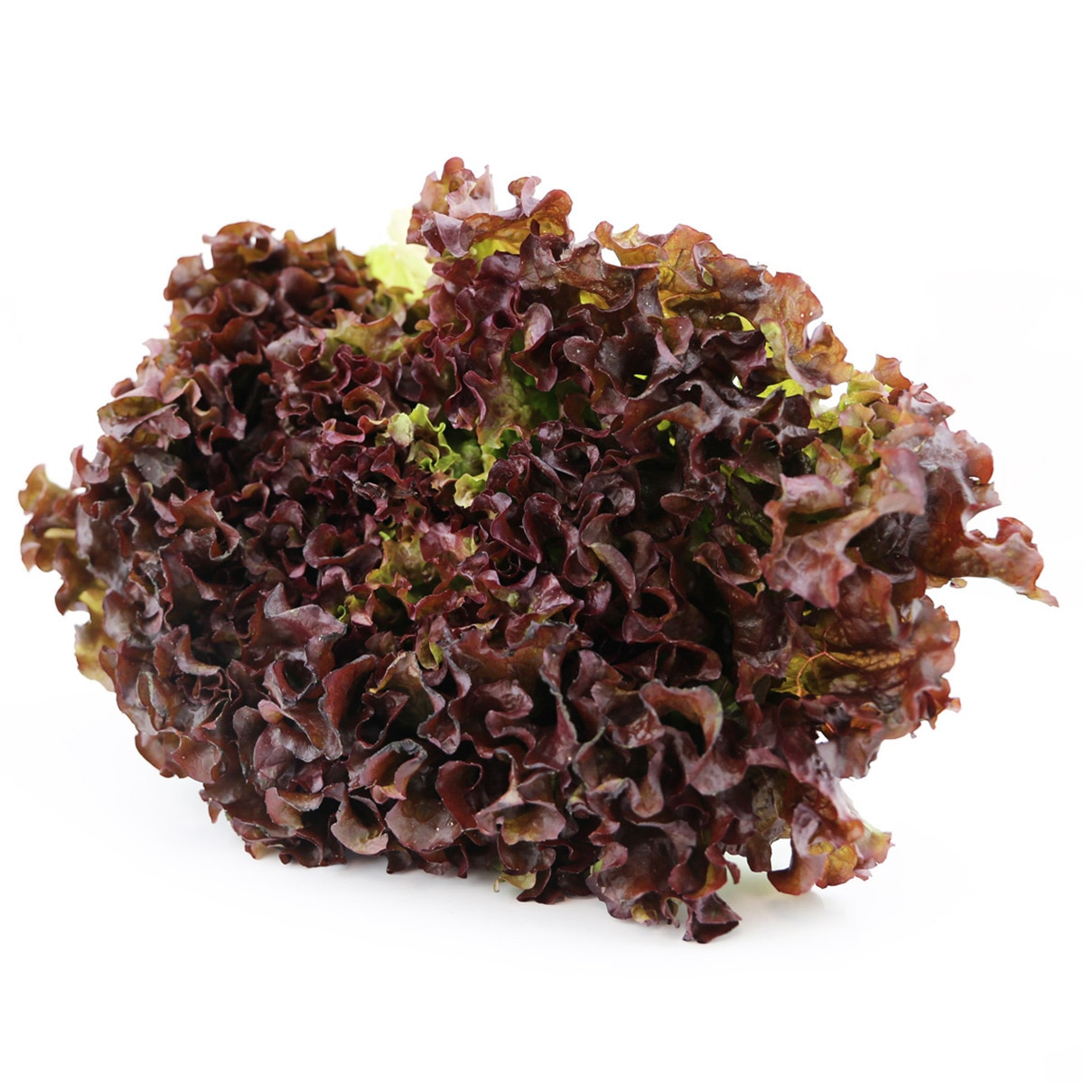 Comprar Lechuga roja rizada bolsa 200 g · DALEIRA · Supermercado ...