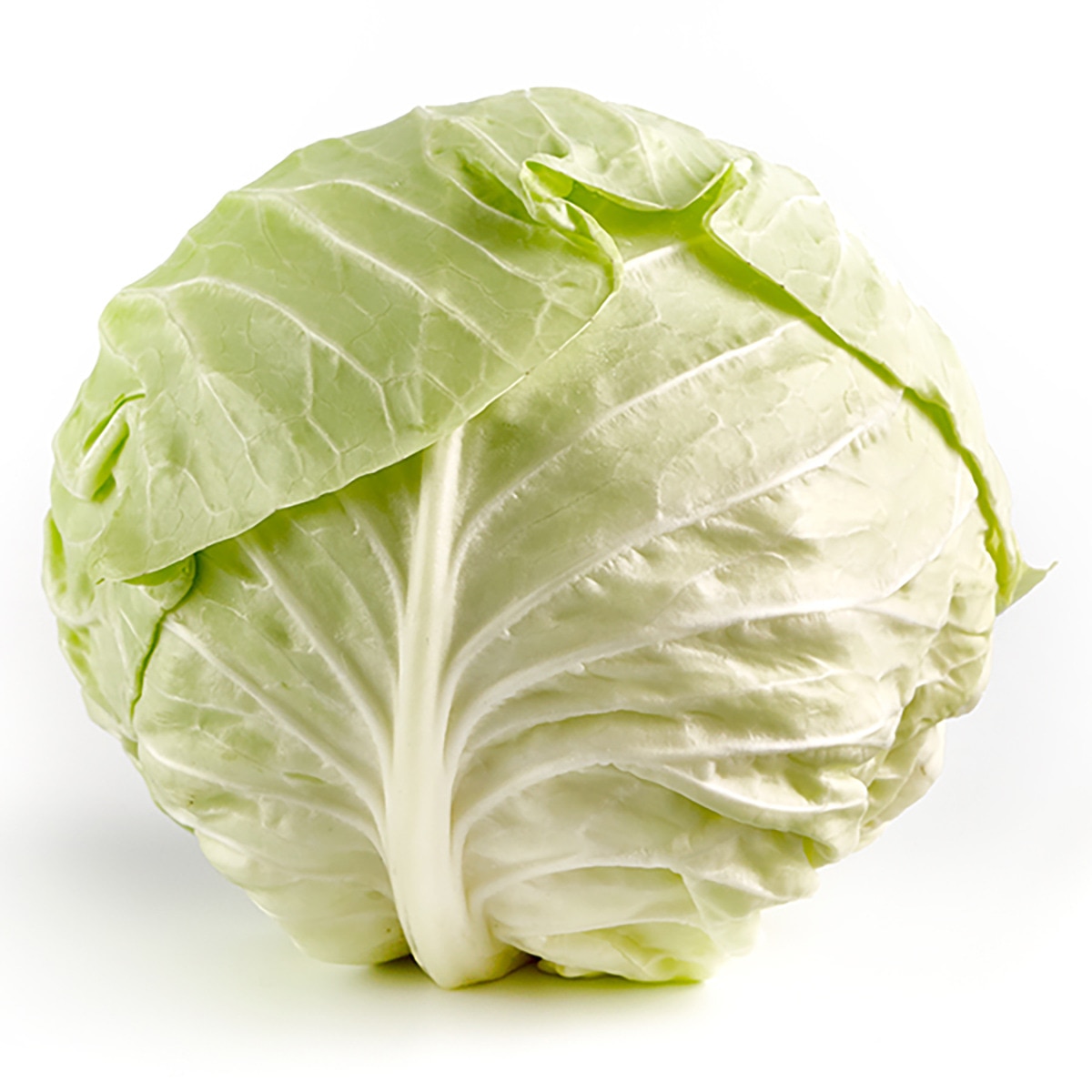 Comprar Repollo gran sabor a Málaga pieza 1,5 kg peso aproximado ...