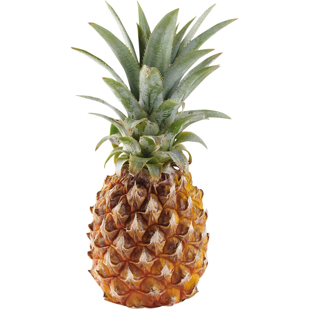 Abacaxi Baby Tradicional Peso Aproximado por unidade 1 kg ...