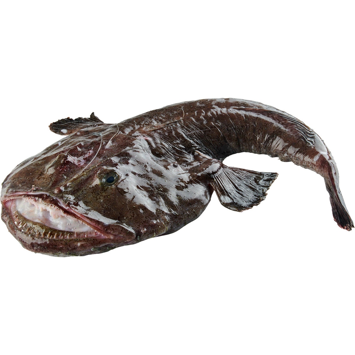 Tamboril 1/3 kg 2 kg · Supermercado El Corte Inglés