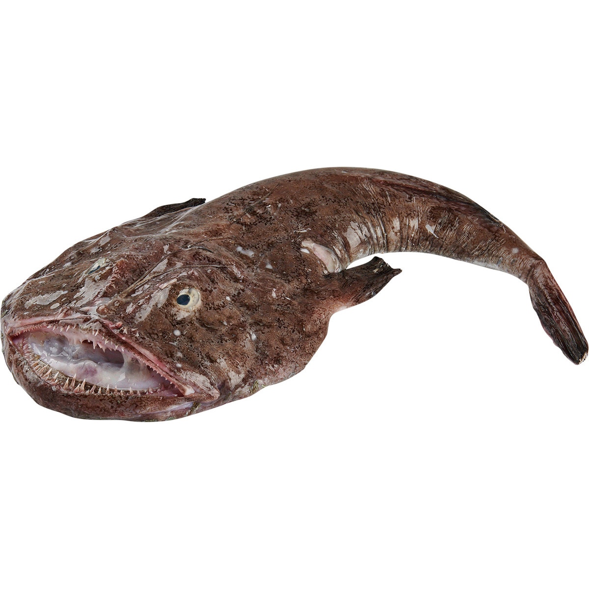 Tamboril 1/3 Kg Peso Aproximado por unidade 2 kg · Supermercado El ...