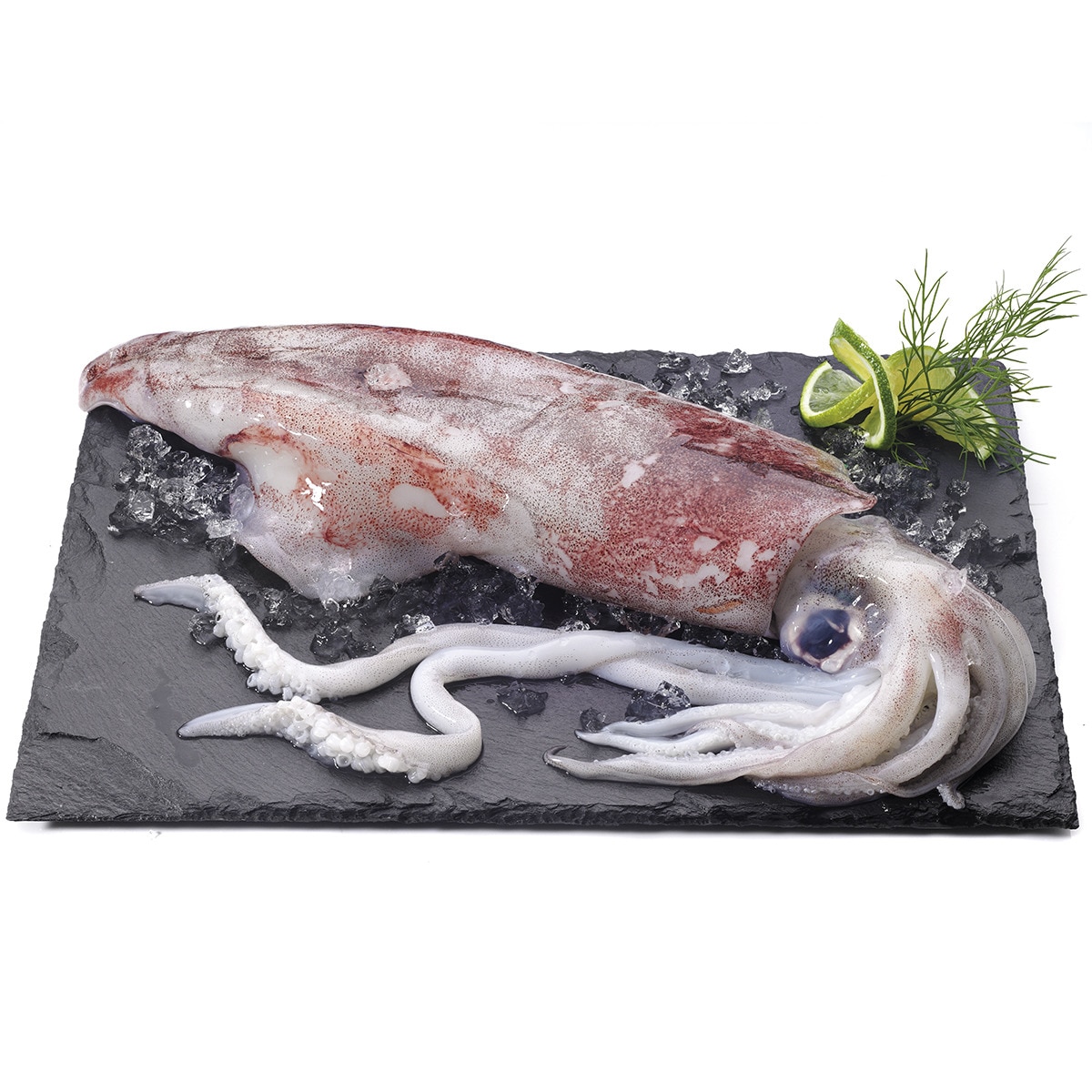 Comprar Calamar mediano sin engordar ni elaborar peso aproximado pieza ...