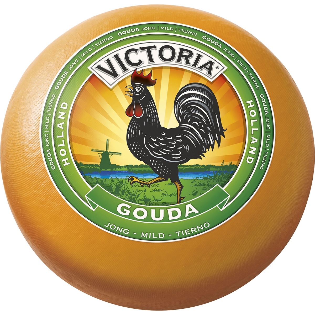 Queso holandés gouda tierno elaborado con leche pasteurizada · VICTORIA ...