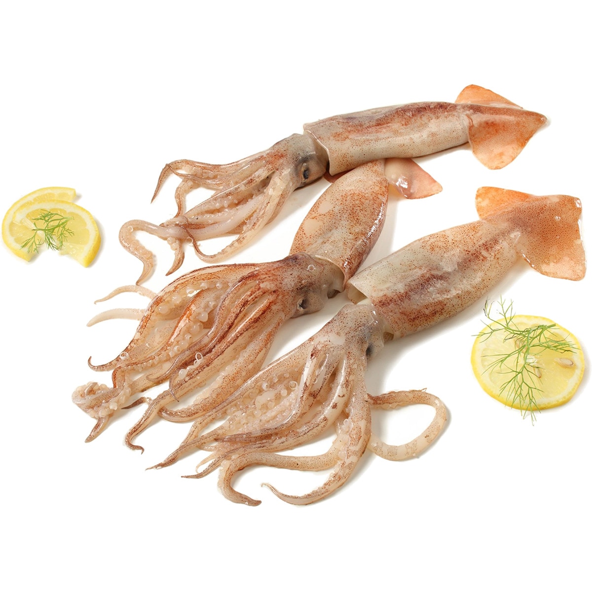 Comprar Pota peso aproximado pieza 400 g · Supermercado Supermercado ...